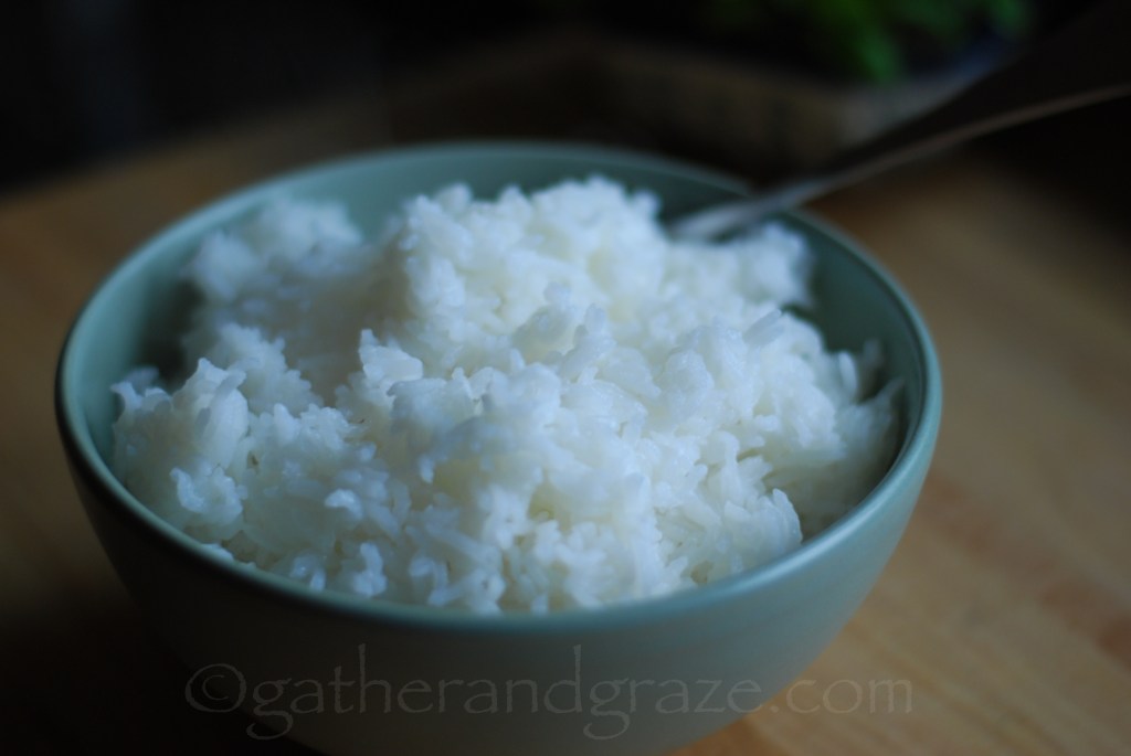 Perfect Rice – by Absorption | Gather & Graze