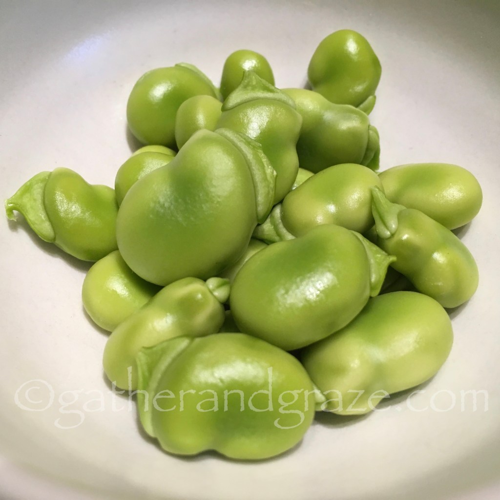 Greek-Style Broad (Fava) Bean Salad | Gather & Graze