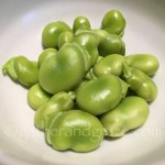 Greek-Style Broad (Fava) Bean Salad | Gather & Graze